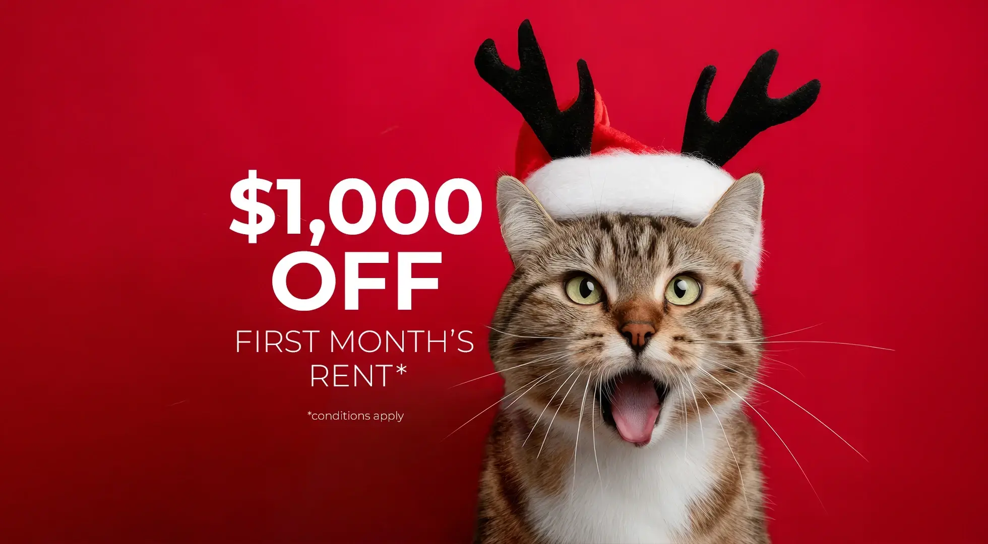 Rentals.ca Cranbrook Apartments, Condos and Houses For Rent