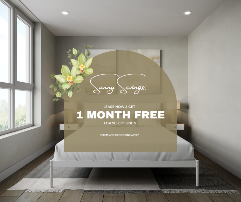 Brand New Apartment Rentals | DMS Property Management