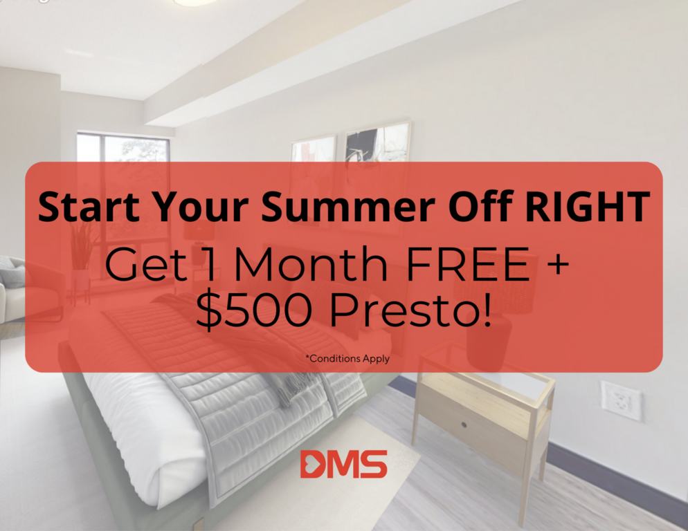 New Affordable Senior Apartments | DMS Property Management