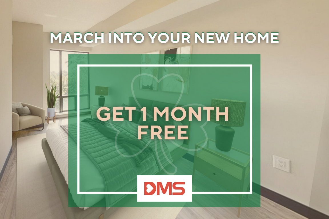 New Affordable Senior Apartments | DMS Property Management
