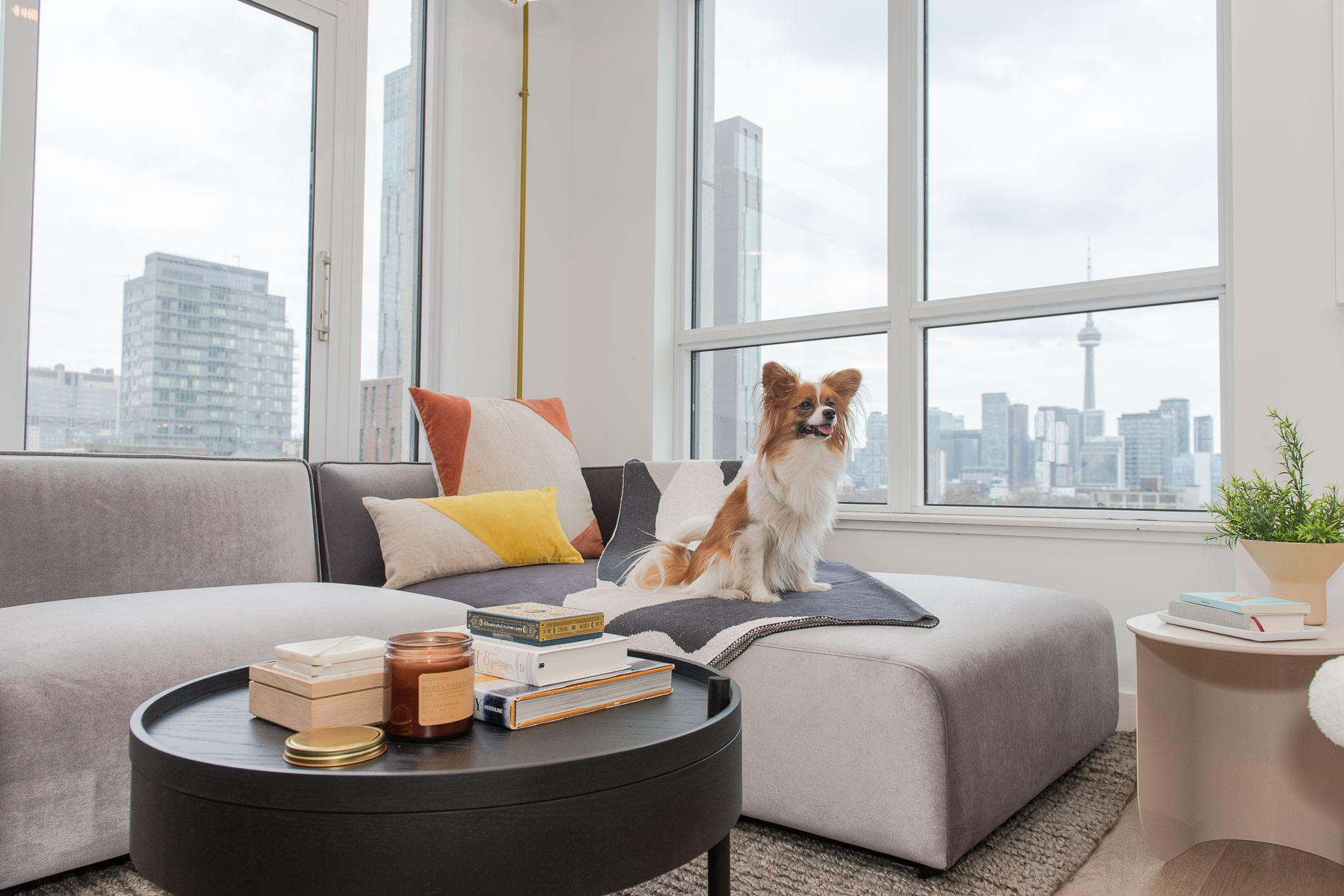 Have it All at Waverley | Waverley