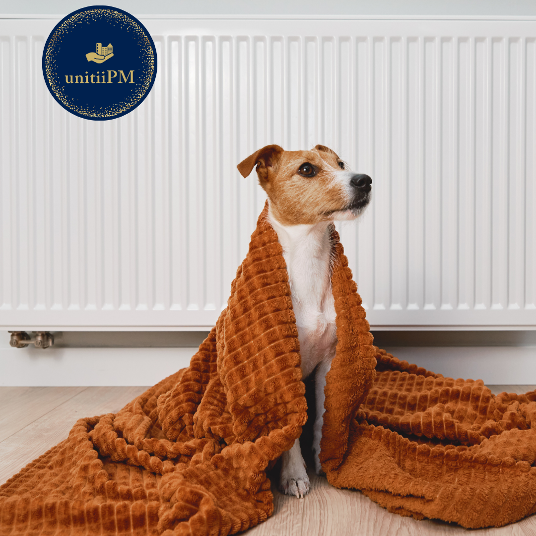 5 Ways To Cut Heating Costs in Apartments | unitiiPM Inc.